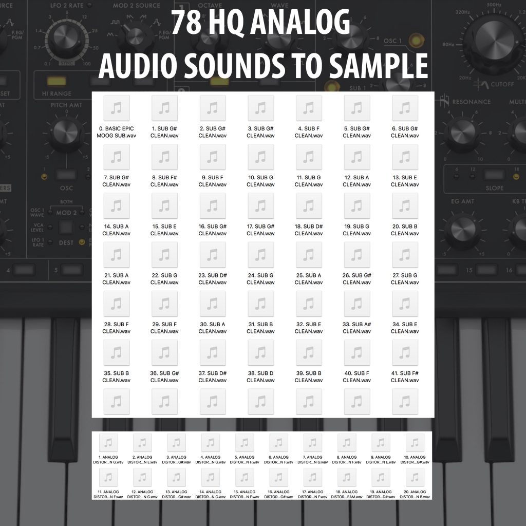 ANALOG SERIES: MOOG VOL.1 - NS Audio