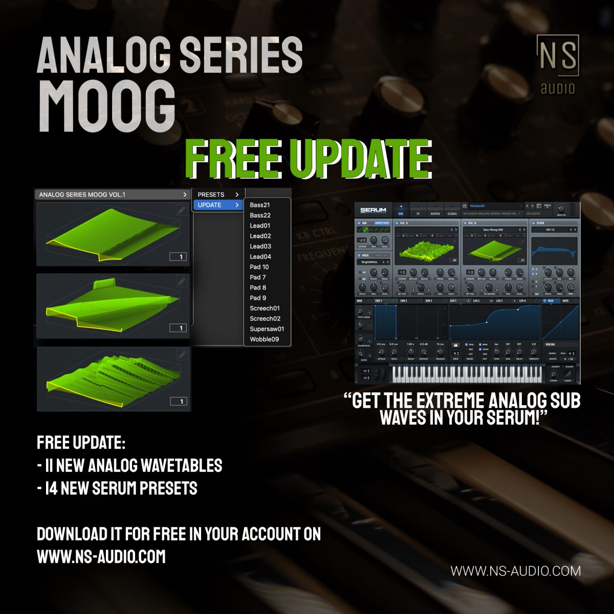 ANALOG SERIES: MOOG VOL.1 - NS Audio
