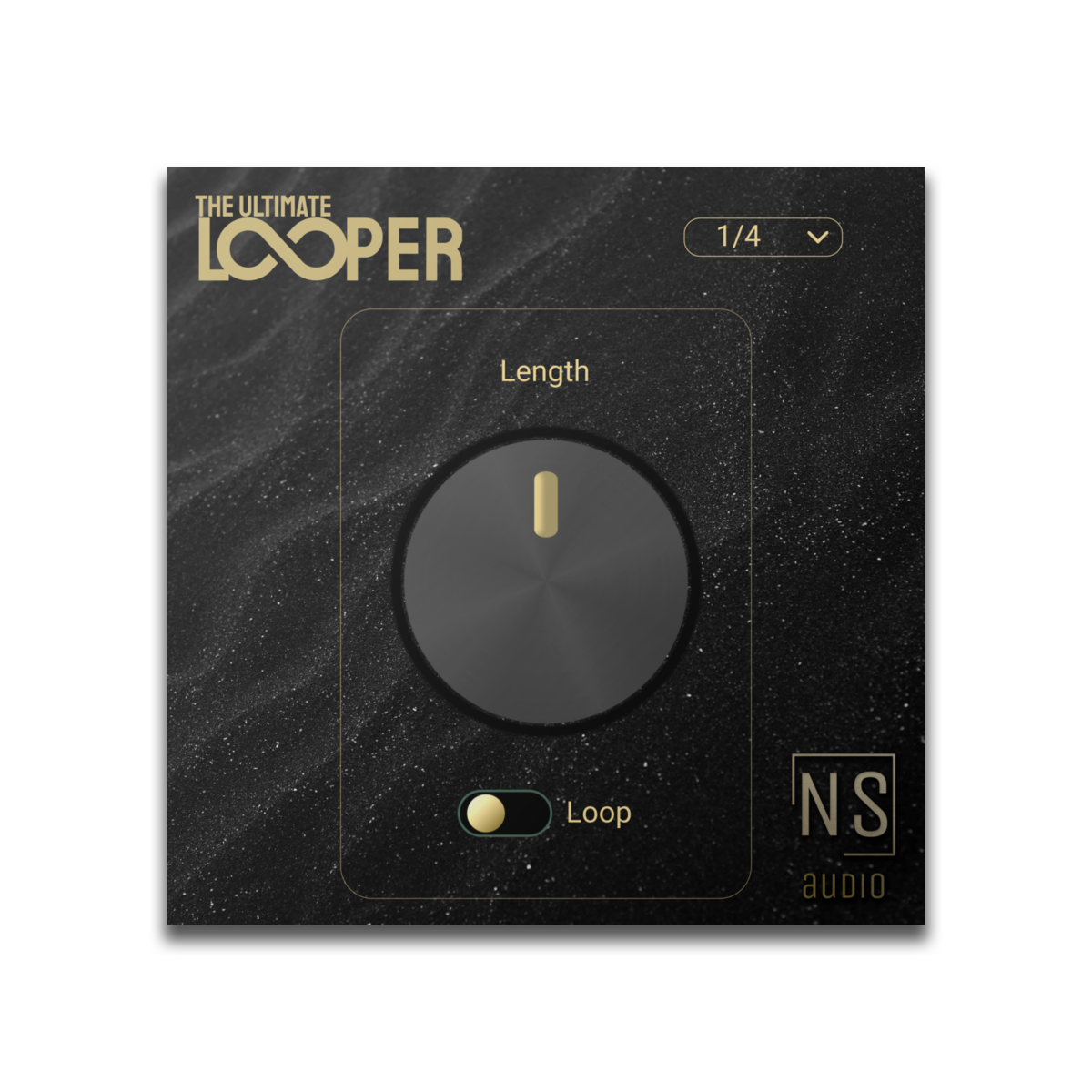 The Ultimate Looper - NS Audio