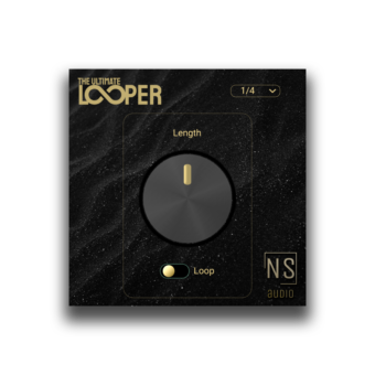 The Ultimate Looper - NS Audio