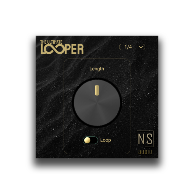 The Ultimate Looper - NS Audio